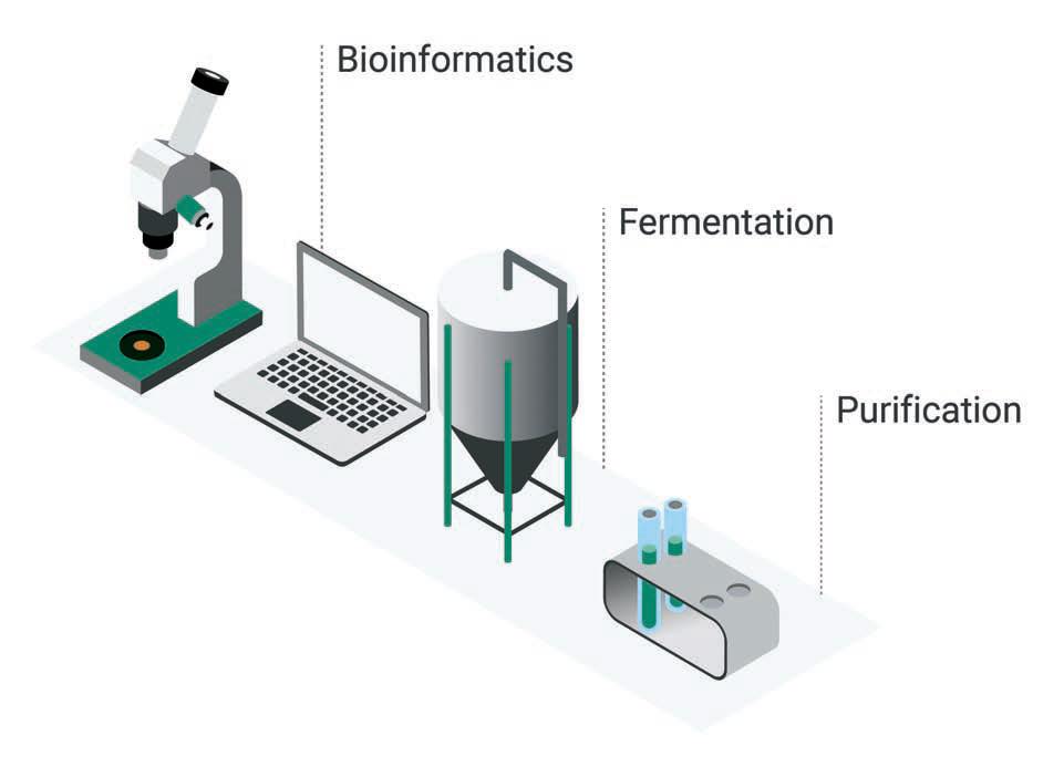 Locus Performance Ingredients